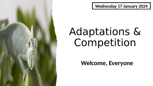 Adaptations & Competition (Year 7) - KS3 | Teaching Resources