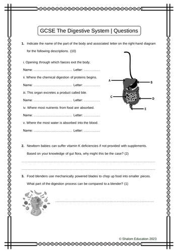 AQA GCSE Biology - Transport Systems Pack - 23 Practice Question ...
