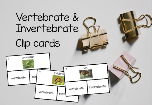 Vertebrate and Invertebrate Clip cards | Teaching Resources