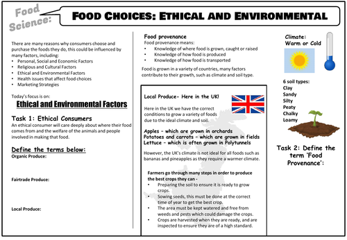 KS3/KS4 Food Cover Work/Cover Lesson - Food Choices: Ethical and Environmental | Teaching Resources