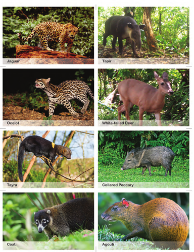 ESS 2.2 Communities and ecosystems | Teaching Resources