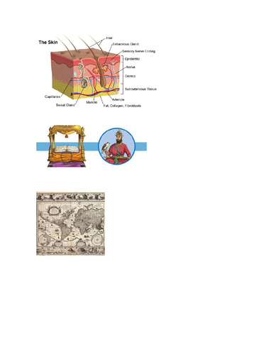 Tissue, Dharker-discussion task, focus on themes and motifs in the poem ...