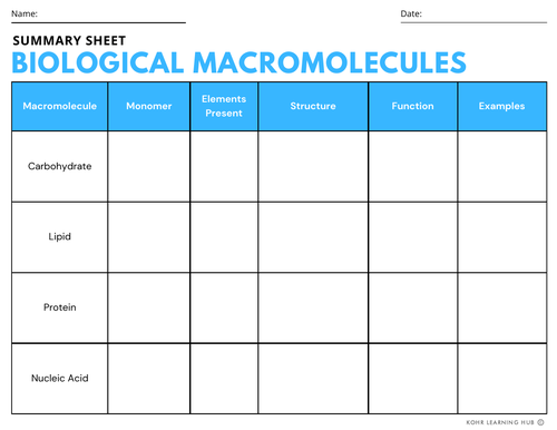 Biological Macromolecules - Worksheet & Summary Sheet for High School ...