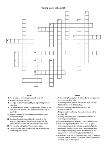 GCSE Crossword bundle, 46 crosswords and keyword definition lists ...