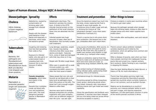 Human disease case study notes and worksheet, Eduqas A-level biology ...