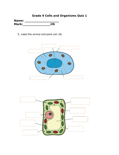 Cells and Microscopes Quiz | Teaching Resources