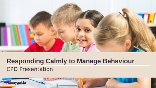 Responding Calmly to Manage Behaviour CPD | Teaching Resources