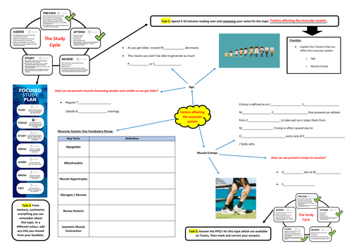 BTEC (Pearson) Unit 1 - A&P - Muscular System [exam unit] | Teaching ...