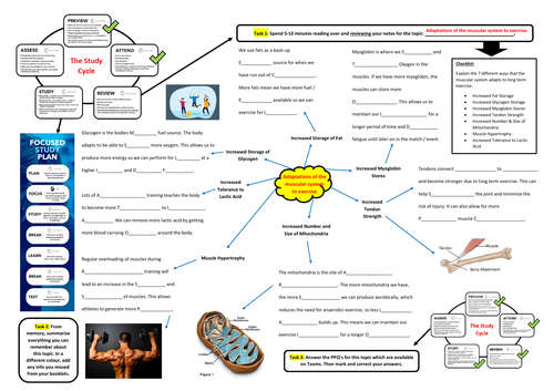 BTEC (Pearson) Unit 1 - A&P - Muscular System [exam unit] | Teaching ...