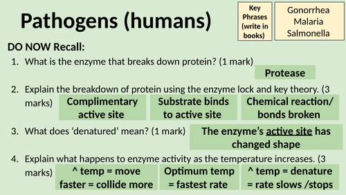 Pathogens and disease (HUMANS): GCSE Infection and Response | Teaching ...