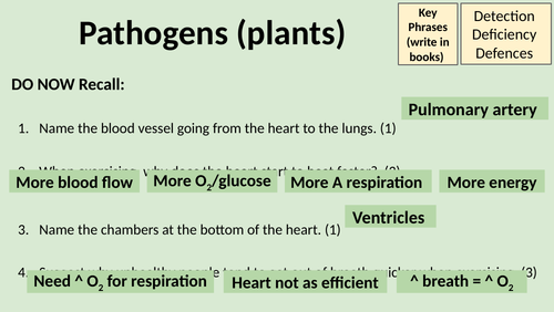 Plants and disease: GCSE Infection and Response | Teaching Resources