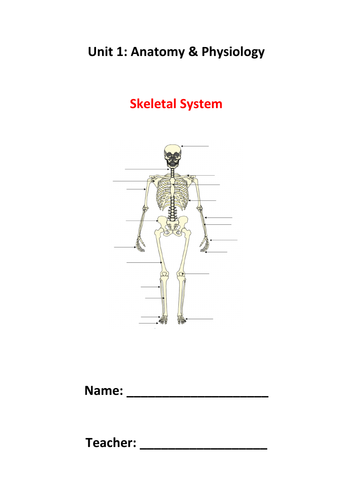 BTEC (Pearson) Unit 1 - A&P - Skeletal System [exam unit] | Teaching ...