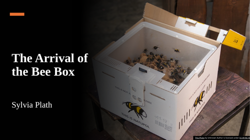 Sylvia Plath | Teaching Resources