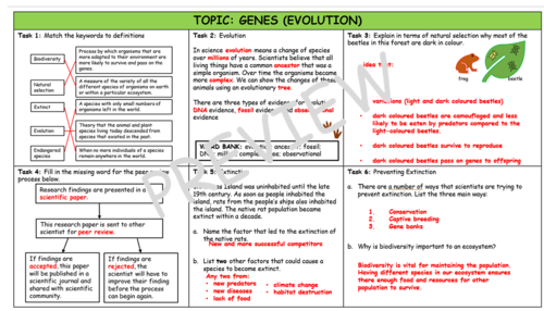 Genes (evolution) assessment | Teaching Resources
