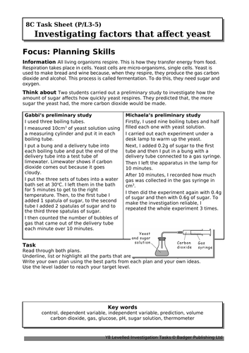 KS3 Year 8 science assessments | Teaching Resources