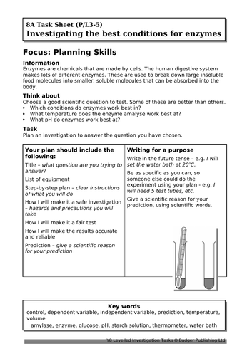 KS3 Year 8 science assessments | Teaching Resources