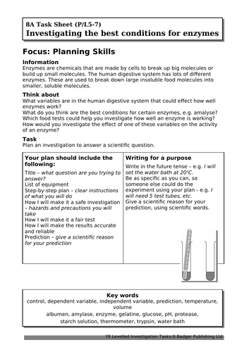 KS3 Year 8 science assessments | Teaching Resources