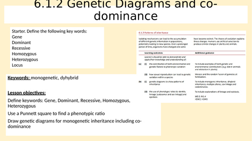 6.1.2 Genetic Diagrams and Co-dominance | Teaching Resources
