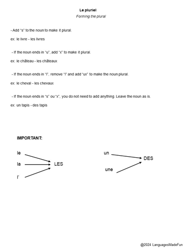 Le pluriel - Forming the plural in French | Teaching Resources