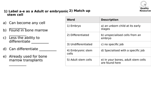 SEN/Low Ability GCSE Stem Cells Worksheets | Teaching Resources