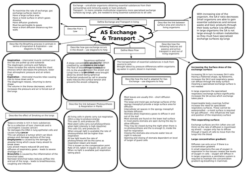 AS Biology - Completed Principles of Transport Revision Mat | Teaching ...
