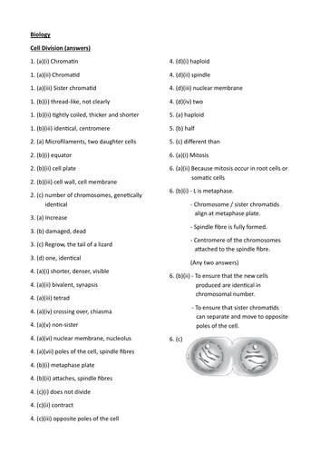 Cell Division, Mitosis and Meiosis Worksheets (Over 80 Questions with ...