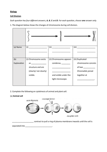 Cell Division, Mitosis and Meiosis Worksheets (Over 80 Questions with ...