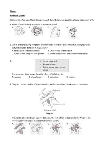 Biology Nutrition in Humans & Plants Worksheets (Over 80 questions with ...
