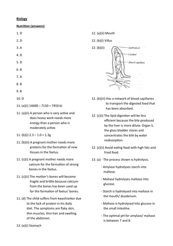 Biology Nutrition in Humans & Plants Worksheets (Over 80 questions with ...