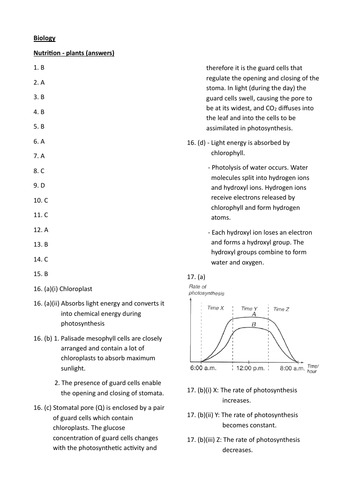 Biology Nutrition in Humans & Plants Worksheets (Over 80 questions with ...