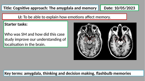 IB Psychology: The amygdala & memory | Teaching Resources