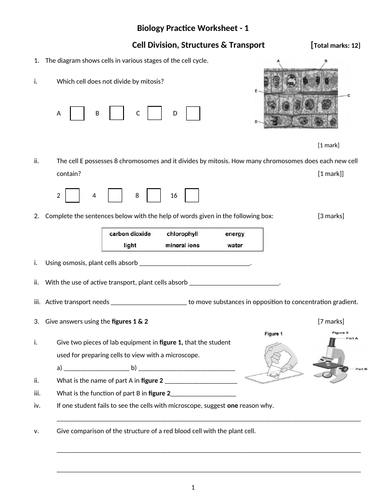 GCSE Cell Biology Worksheet KS3 | Teaching Resources