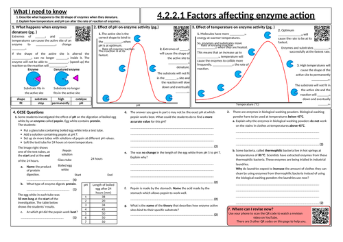 Effect of pH and temperature on enzymes | Teaching Resources