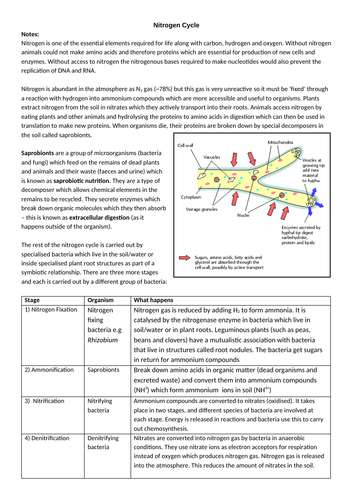 AQA Alevel Biology - Nitrogen Cycle | Teaching Resources