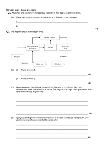 AQA Alevel Biology - Nitrogen Cycle | Teaching Resources