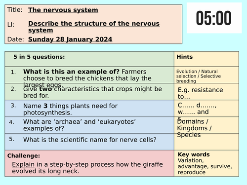 AQA GCSE Structure of nervous system | Teaching Resources AQA GCSE Structure of nervous system | Teaching Resources