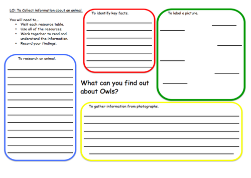 Owl non fiction fact file pack | Teaching Resources