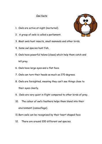 Owl non fiction fact file pack | Teaching Resources