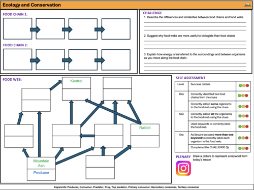 KS3 Food chains and webs | Teaching Resources