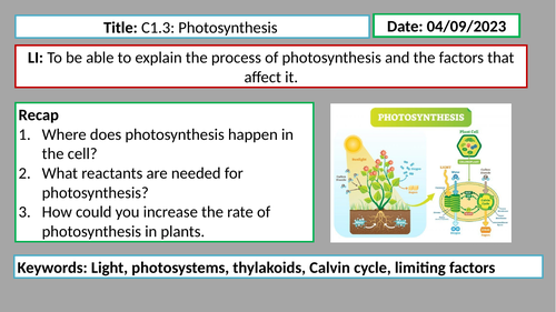 IB Biology Complete course bundle (first exams 2025) | Teaching Resources