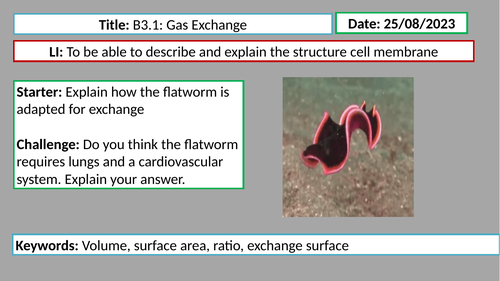 IB Biology Complete course bundle (first exams 2025) | Teaching Resources
