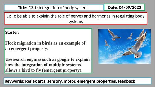 IB Biology Complete course bundle (first exams 2025) | Teaching Resources