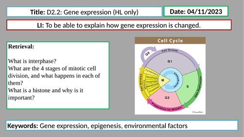 IB Biology Complete course bundle (first exams 2025) | Teaching Resources