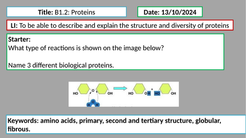 IB Biology Complete course bundle (first exams 2025) | Teaching Resources