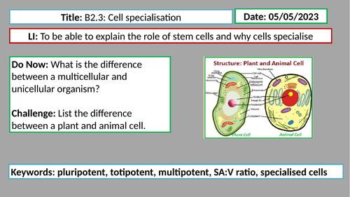 IB Biology Complete course bundle (first exams 2025) | Teaching Resources