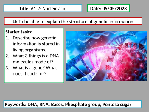IB Biology Complete course bundle (first exams 2025) | Teaching Resources