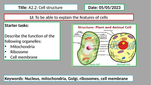 IB Biology Complete course bundle (first exams 2025) | Teaching Resources