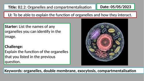 IB Biology Complete course bundle (first exams 2025) | Teaching Resources