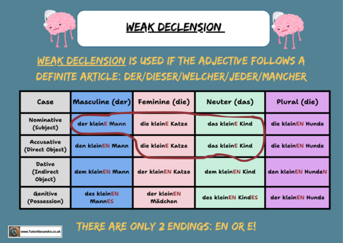 GERMAN GCSE Grammar Adjective Endings 2024 | Teaching Resources