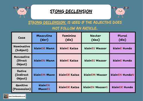 GERMAN GCSE Grammar Adjective Endings 2024 | Teaching Resources